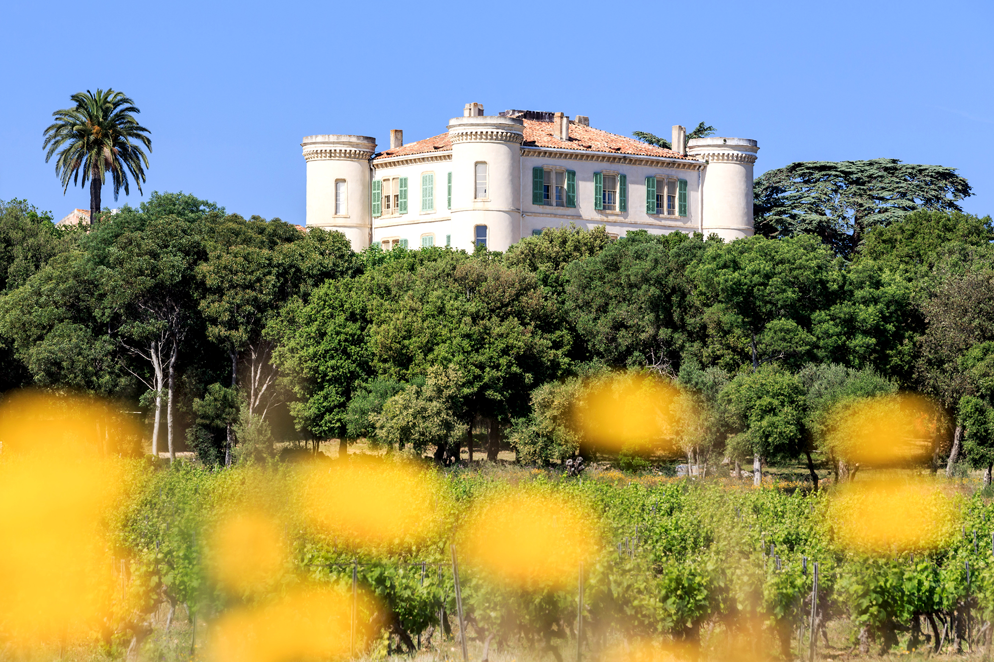 Château de Brégançon : Une passion qui se transmet depuis 8 générations ...